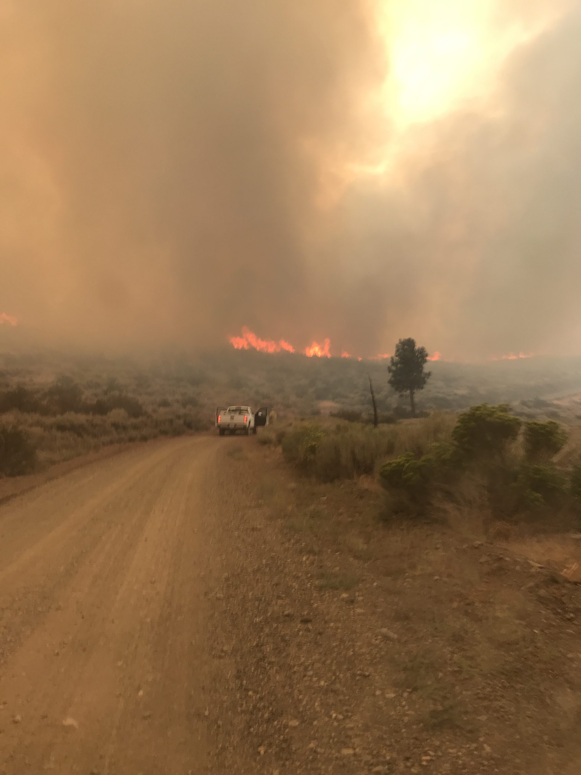 Gallery – Wildland Apparatus Engineer, SP.