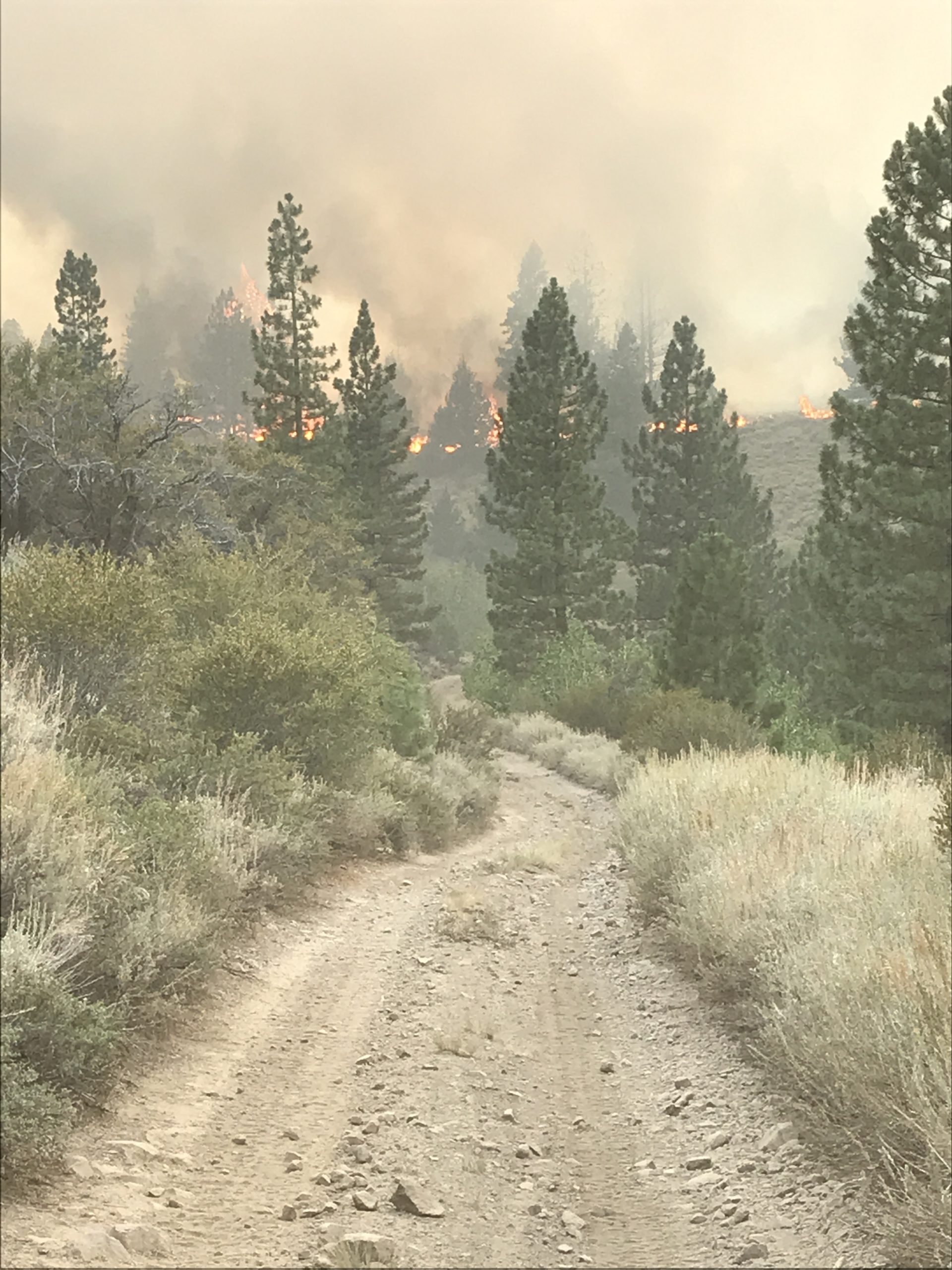 Gallery – Wildland Apparatus Engineer, SP.